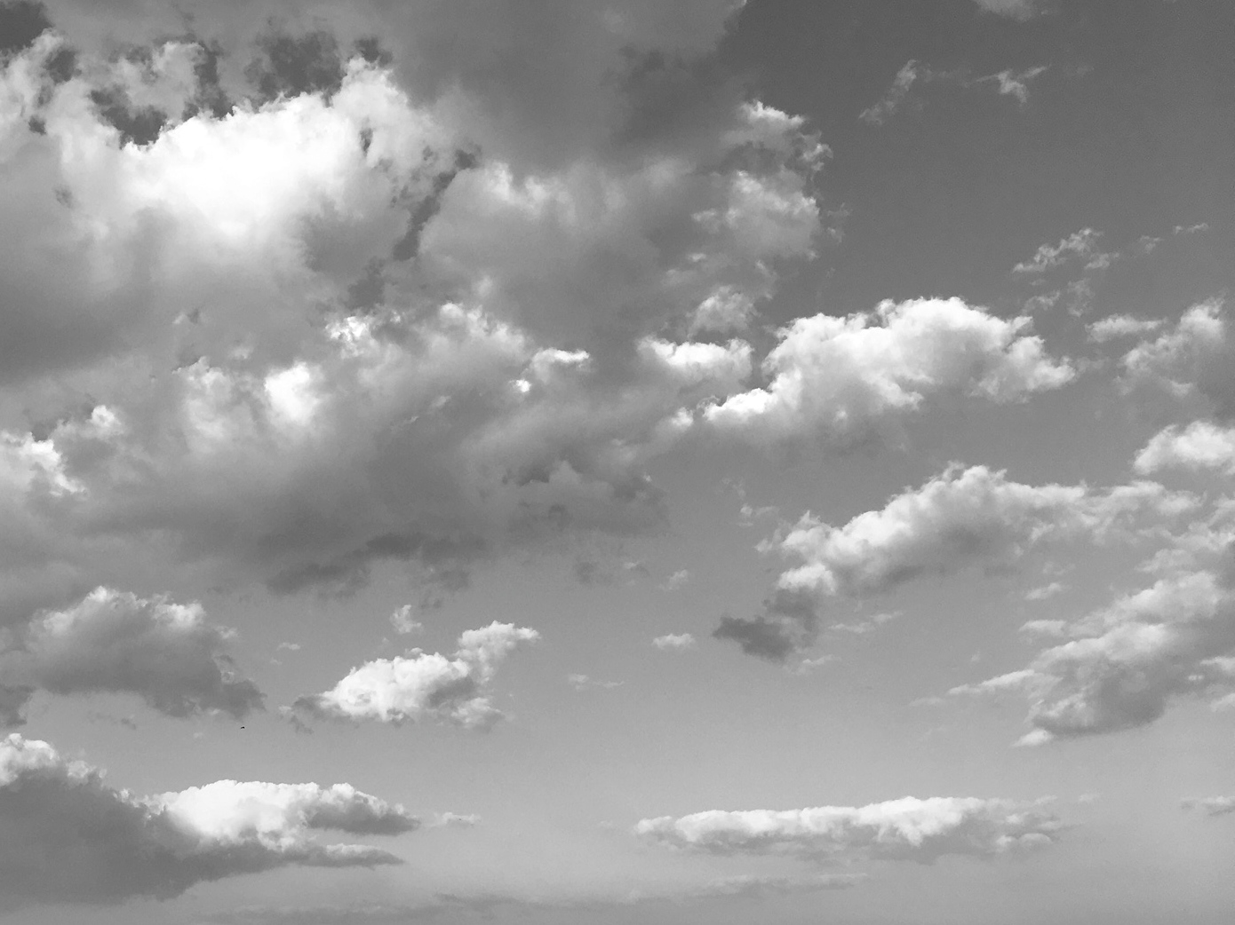 Studio Kinda Real Cloudy | Studio Kinda Cloudy